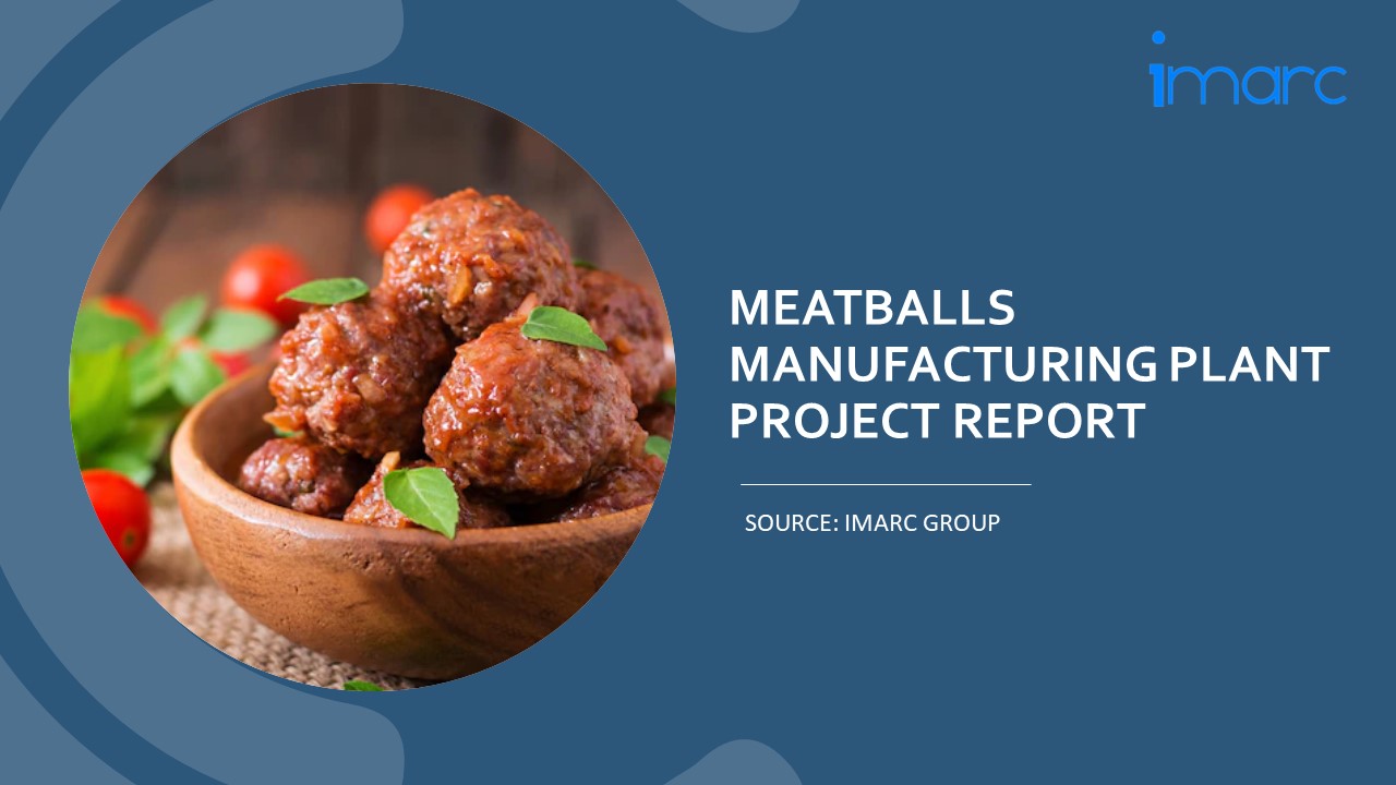 Setting Up a Successful Meatballs Manufacturing Unit: DPR presentation ...