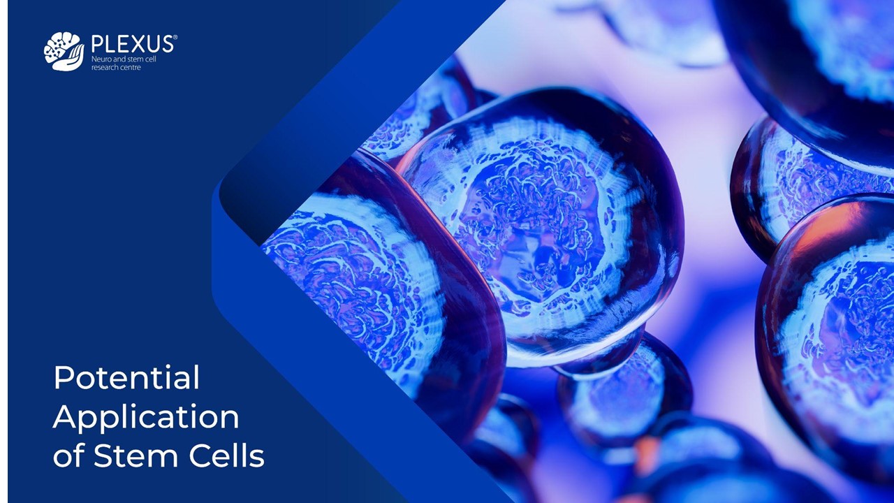 Potential Applications of Stem Cells presentation | free to download