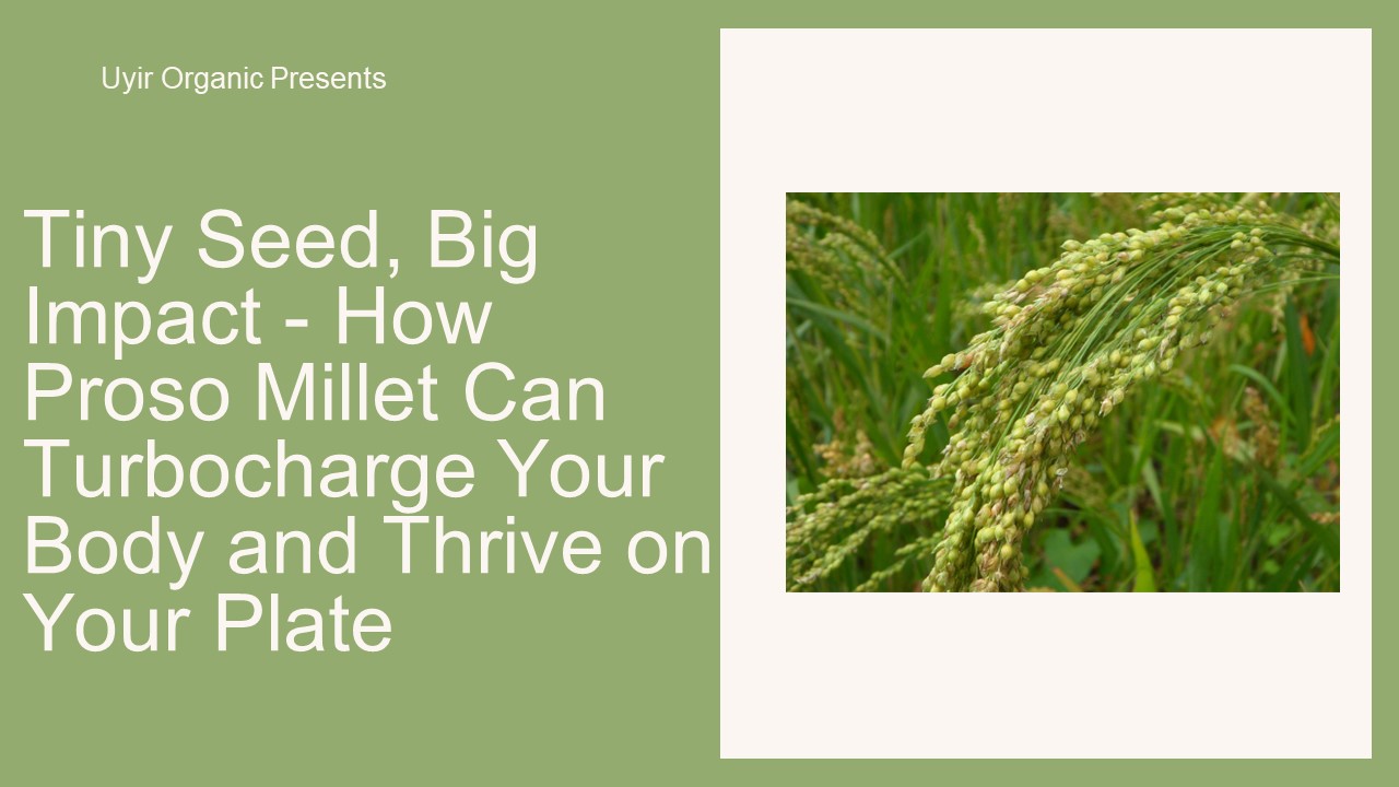 PPT – Tiny Seed, Big Impact - How Proso Millet Can Turbocharge Your ...