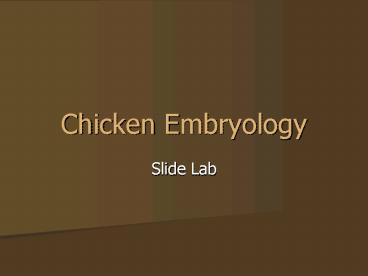 PPT – Chicken Embryology PowerPoint presentation | free to view - id ...