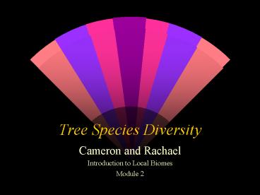Tree Species Diversity presentation | free to view