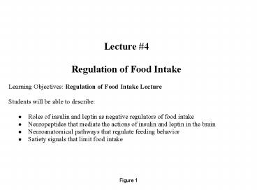 Regulation of food intake presentation | free to view