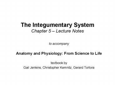 The Integumentary System Chapter 5 Lecture Notes presentation | free to ...