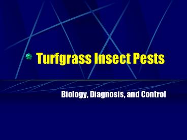Turfgrass Insect Pests presentation | free to view