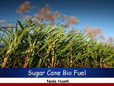 Sugar Cane Bio Fuel presentation | free to view