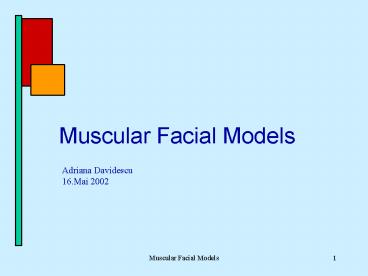 Muscular Facial Models presentation | free to view