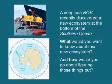 PPT – A deep sea ROV recently discovered a new ecosystem at the bottom of the Southern Ocean ...