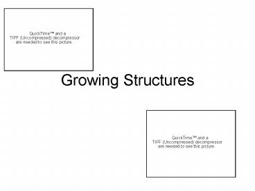 PPT – Growing Structures PowerPoint presentation | free to view - id ...
