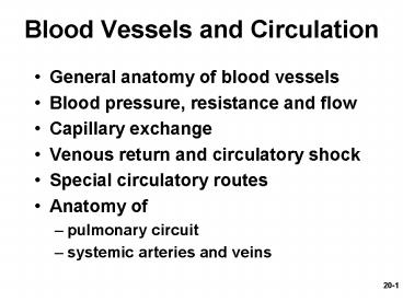 PPT – Blood Vessels and Circulation PowerPoint presentation | free to ...