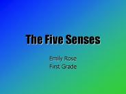 PPT – The five senses PowerPoint presentation | free to view - id ...