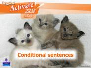 PPT – Conditional Sentences PowerPoint presentation | free to view - id ...