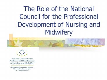 The Role of the National Council for the Professional Development of ...