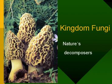 PPT – Kingdom Fungi PowerPoint presentation | free to view - id: 148dca ...