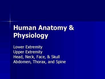 Human Anatomy presentation | free to view