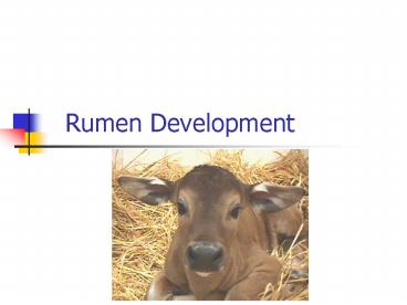 Rumen Development presentation | free to view