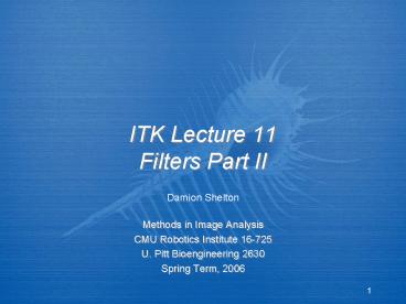 ITK Lecture 11 Filters Part II presentation | free to view