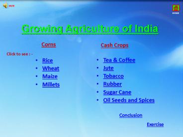 Growing Agriculture of India presentation | free to view