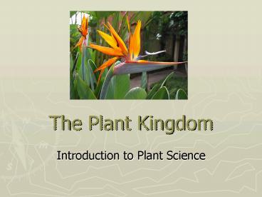 PPT – The Plant Kingdom PowerPoint presentation | free to view - id ...
