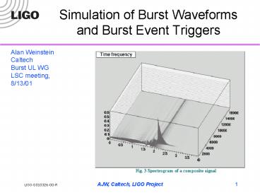 Simulation of Burst Waveforms and Burst Event Triggers presentation ...