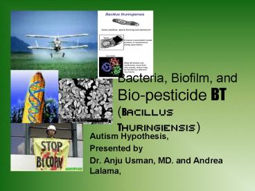 Bacteria, Biofilm, and Biopesticide BT Bacillus Thuringiensis ...