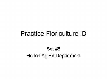 PPT – Practice Floriculture ID PowerPoint presentation | free to view ...