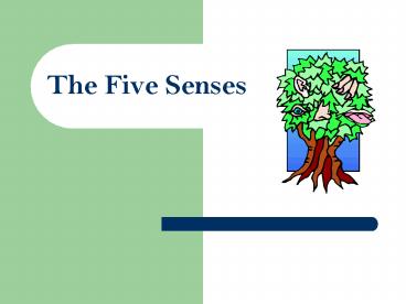 The Five Senses presentation | free to view