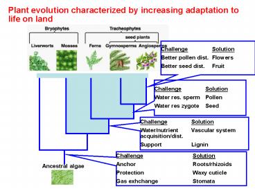 PPT – Plant evolution characterized by increasing adaptation to life on ...