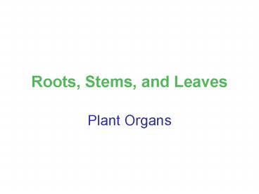 Roots, Stems, and Leaves presentation | free to view