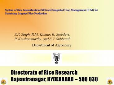 System of Rice Intensification (SRI) and Integrated Crop Management ...