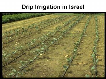 Drip Irrigation in Israel presentation | free to view