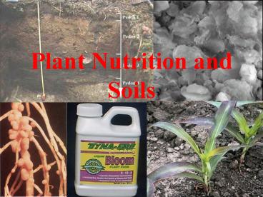 Plant Nutrition and Soils presentation | free to view