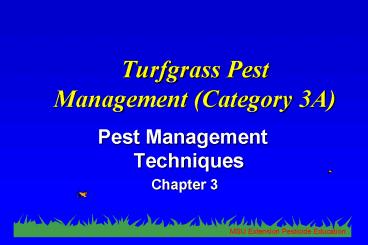 PPT – Turfgrass Pest Management Category 3A PowerPoint presentation ...
