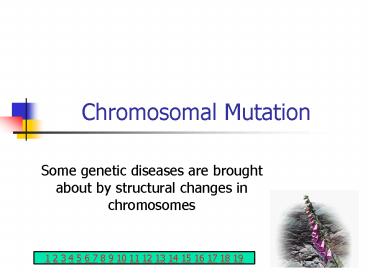 Chromosomal Mutation presentation | free to view