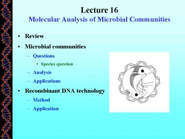 Lecture 16 Molecular Analysis of Microbial Communities presentation ...