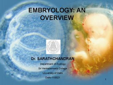 EMBRYOLOGY: AN OVERVIEW presentation | free to view