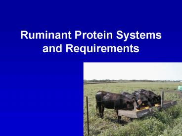Ruminant Protein Systems and Requirements presentation | free to view