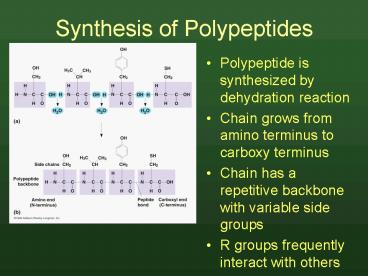 Synthesis of Polypeptides presentation | free to view
