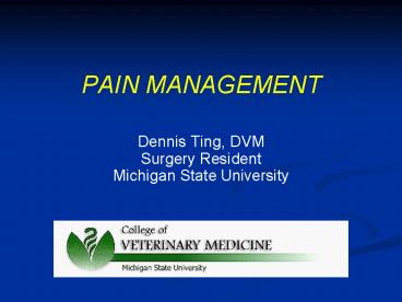 PPT – PAIN MANAGEMENT PowerPoint presentation | free to view - id ...