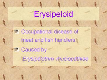 Erysipeloid presentation | free to view