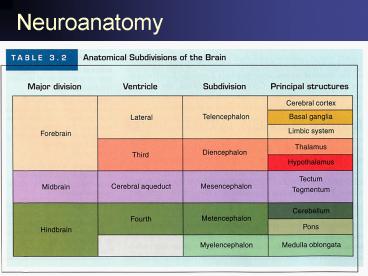 PPT – Neuroanatomy PowerPoint presentation | free to view - id: 1b0994 ...