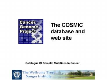 The COSMIC presentation | free to view