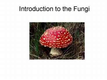 Introduction to the Fungi presentation | free to view