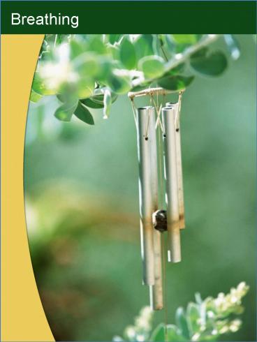 Breathing presentation | free to view