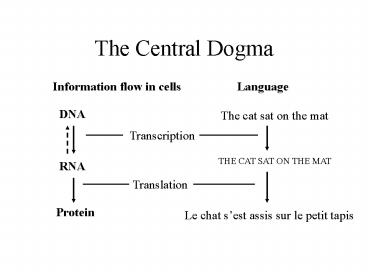 The Central Dogma presentation | free to view