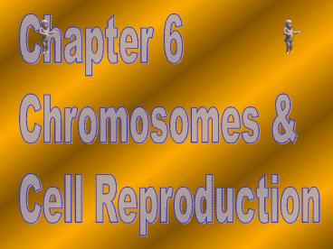PPT – Chromosomes PowerPoint presentation | free to view - id: 1aa115-ZWY1Z