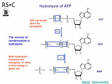 Atp Hydrolysis Animation