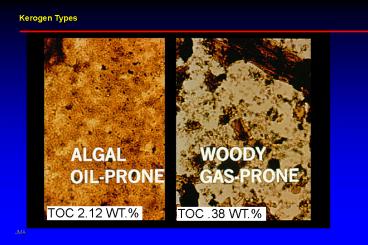 Kerogen Types presentation | free to view