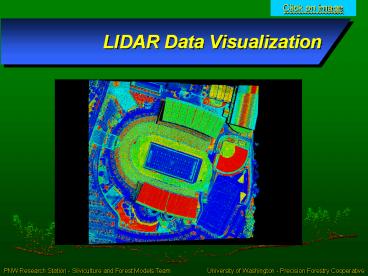 LIDAR%20Data%20Visualization presentation | free to download