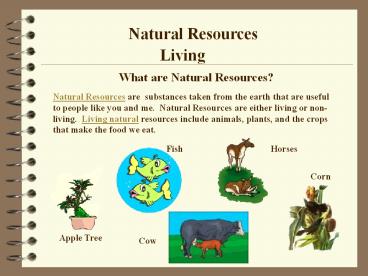Natural Resources presentation | free to view