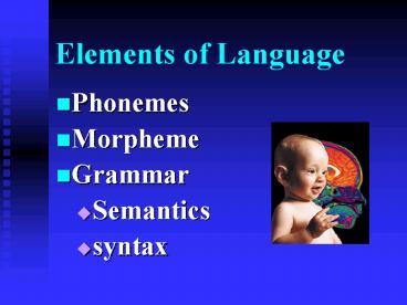 Elements of Language presentation | free to view
